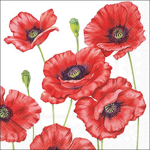 Romantic poppy napkins 1042 33cm - Decoupage Craft Blanks